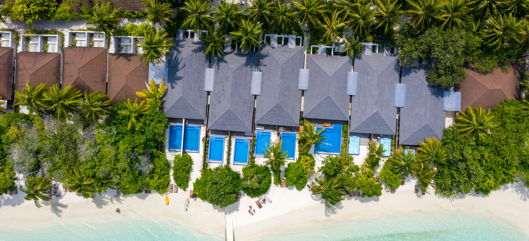 Lily Beach Continues to Prove it is the ‘Best of the Best’