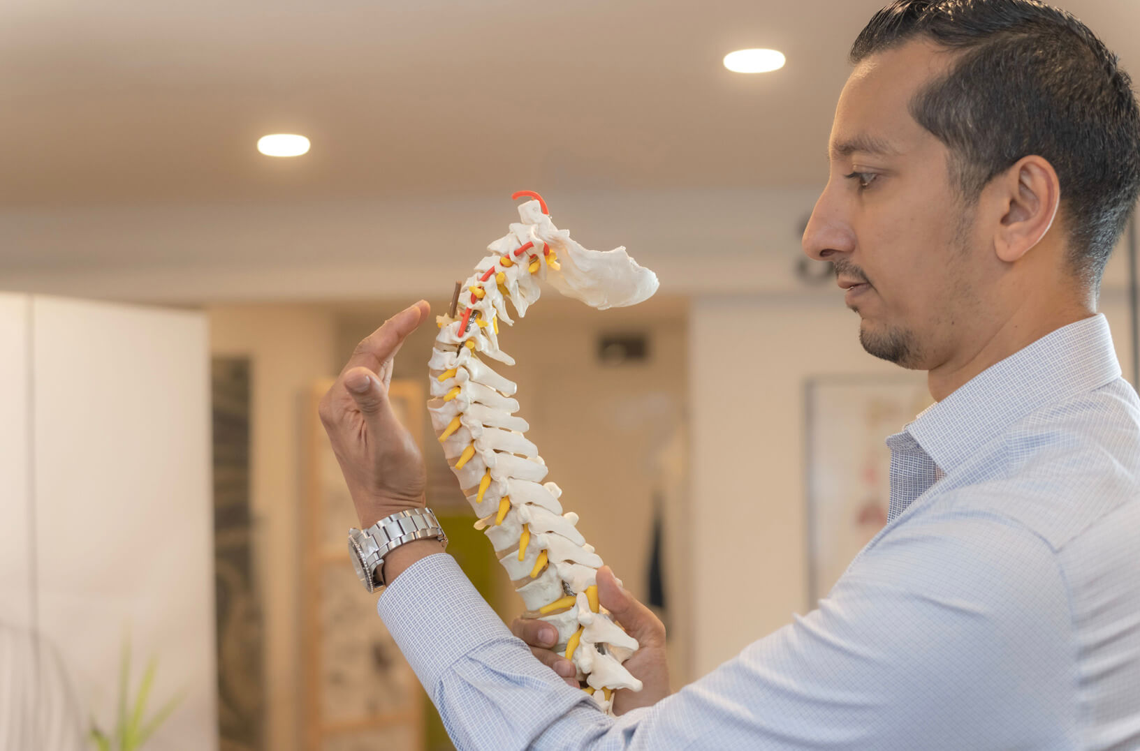 Healing Hands Chiropractic celebrates five successful years