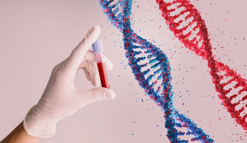 Gut-Brain Connection: How Peptides Influence Cognitive Function